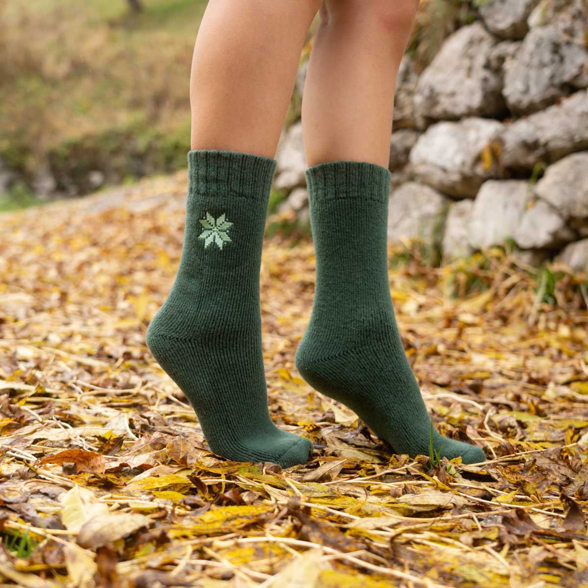 Earth (3 pairs) - Nordic Socks AU