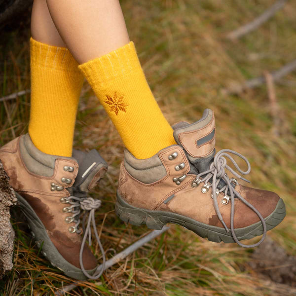Elements (3 pairs) - Nordic Socks AU